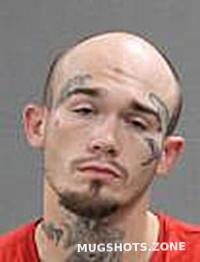 LUSTER ANTHONY AUSTIN 11/01/2023 - Wayne County Mugshots Zone