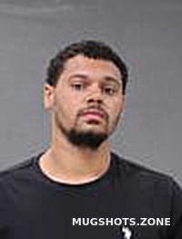 BOYER ANTHONY MILES 05/30/2024 - Wayne County Mugshots Zone