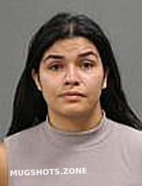 TORRES ANDREA MICHELLE 09/01/2024 - Wayne County Mugshots Zone