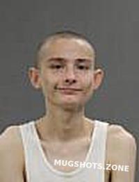 HOWE GABRIEL BENJAMIN 10/11/2024 - Wayne County Mugshots Zone