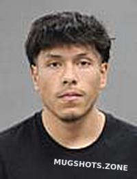 MORALES ANTILLON MARCOS GABRIEL 11/13/2024 - Wayne County Mugshots Zone