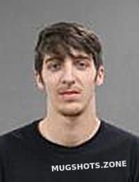 HARRIS DYLAN M 01/25/2025 - Wayne County Mugshots Zone