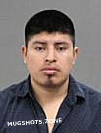 TOMAS-RAMIREZ SELVIN JOSELITO 03/15/2025 - Wayne County Mugshots Zone