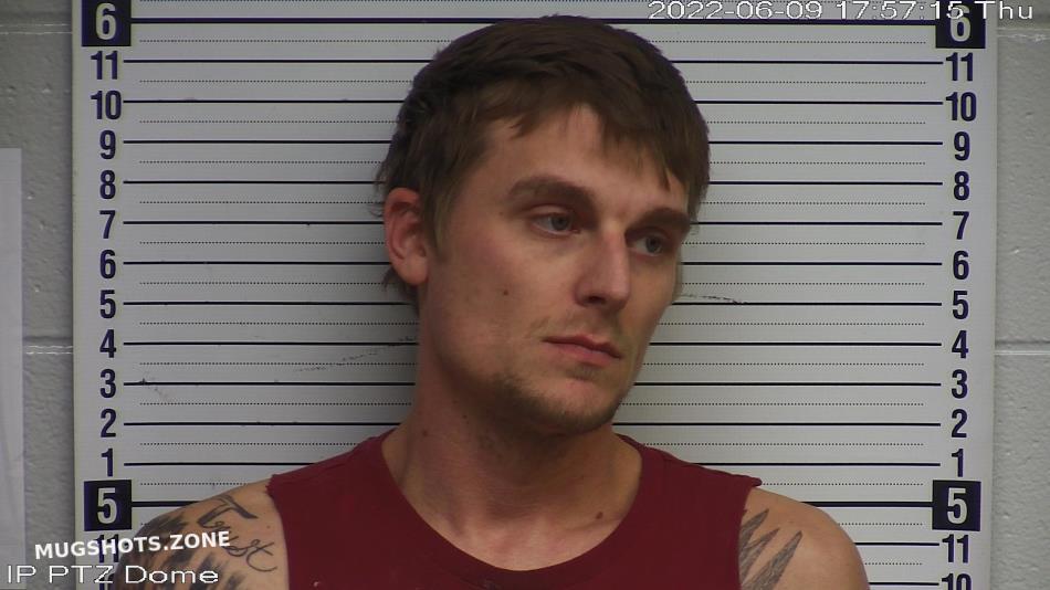 BRANHAM LUCAS N 11/07/2022 - Wayne County Mugshots Zone