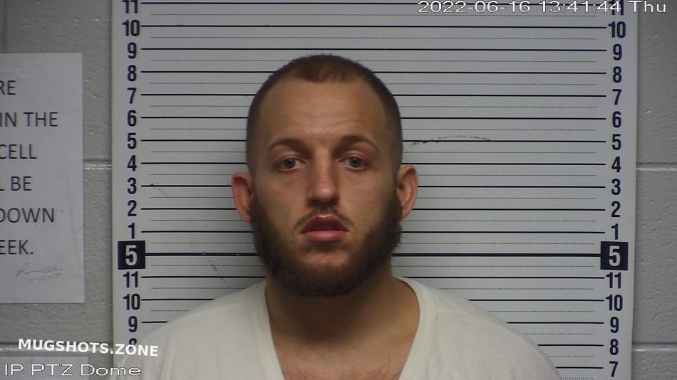 RICE ZACHARY 11/14/2022 - Wayne County Mugshots Zone