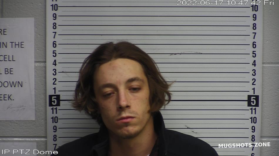 ANDERSON MICHAEL 11/15/2022 - Wayne County Mugshots Zone