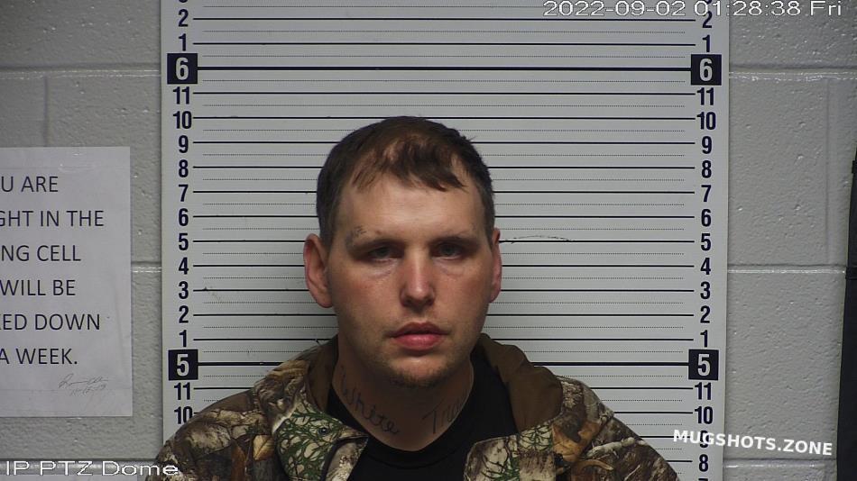 LYONS MICHAEL 01/31/2023 - Wayne County Mugshots Zone