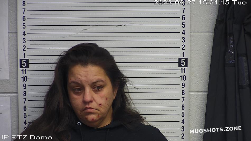 SANDERS ALISA G 02/25/2023 - Wayne County Mugshots Zone