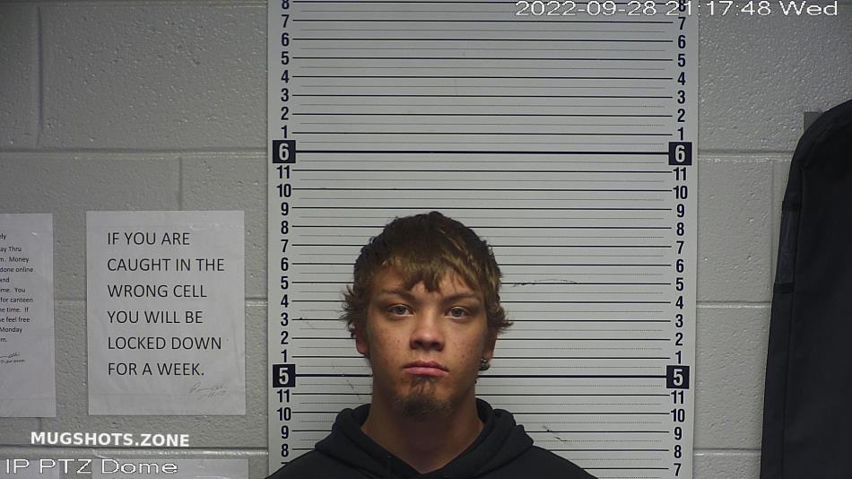 WALLACE DICKIE 02/26/2023 - Wayne County Mugshots Zone