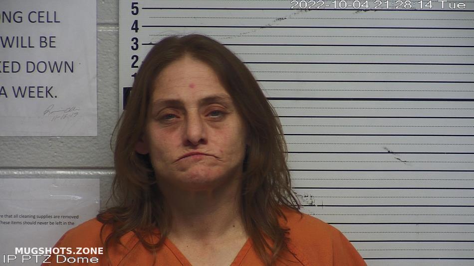 BRUMMETT CINDY 03/04/2023 - Wayne County Mugshots Zone