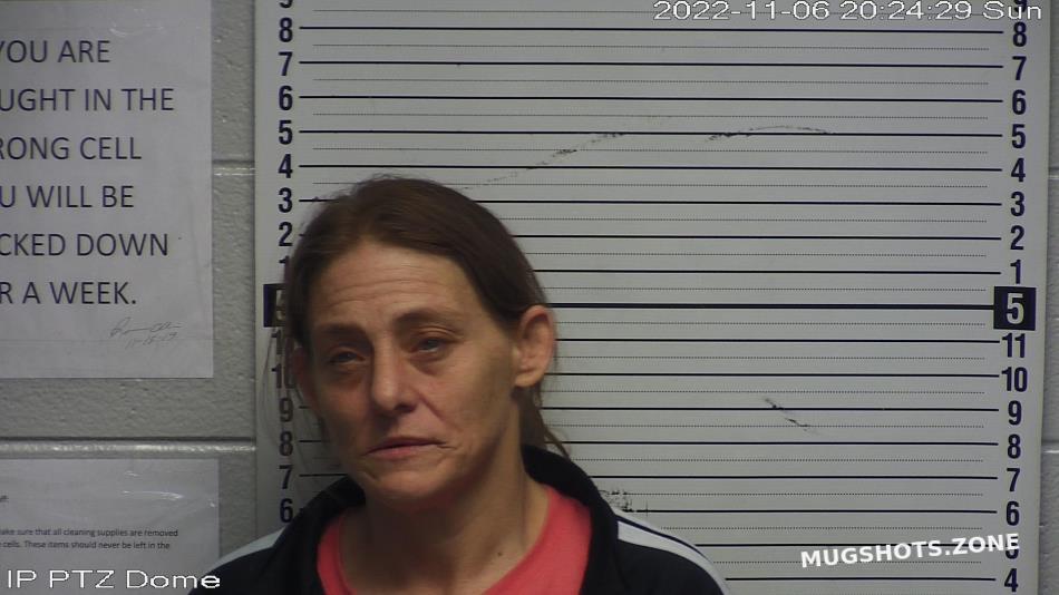 BRUMMETT CINDY 04/06/2023 - Wayne County Mugshots Zone