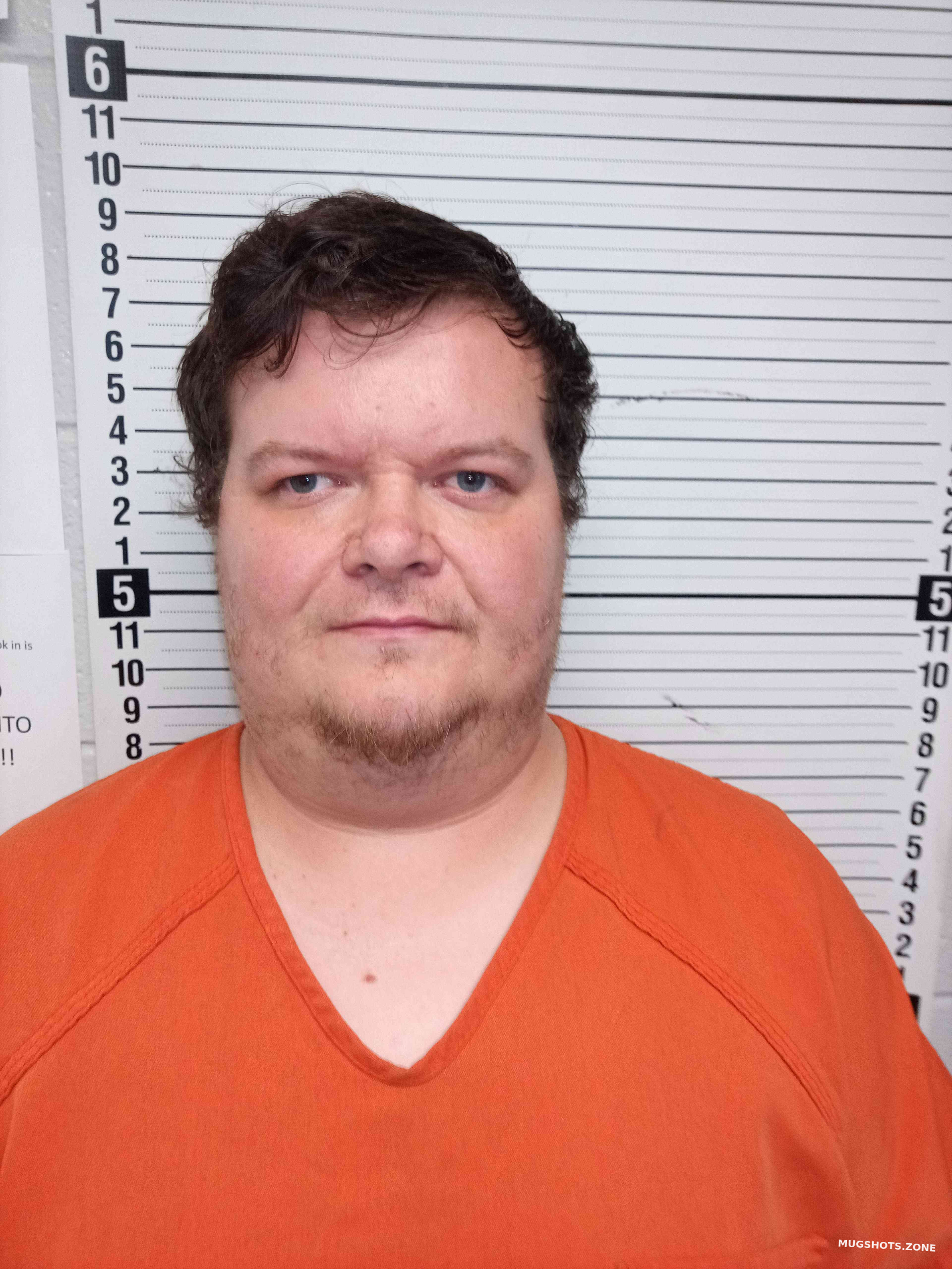 BURCHETT MICHAEL 06/14/2024 - Wayne County Mugshots Zone