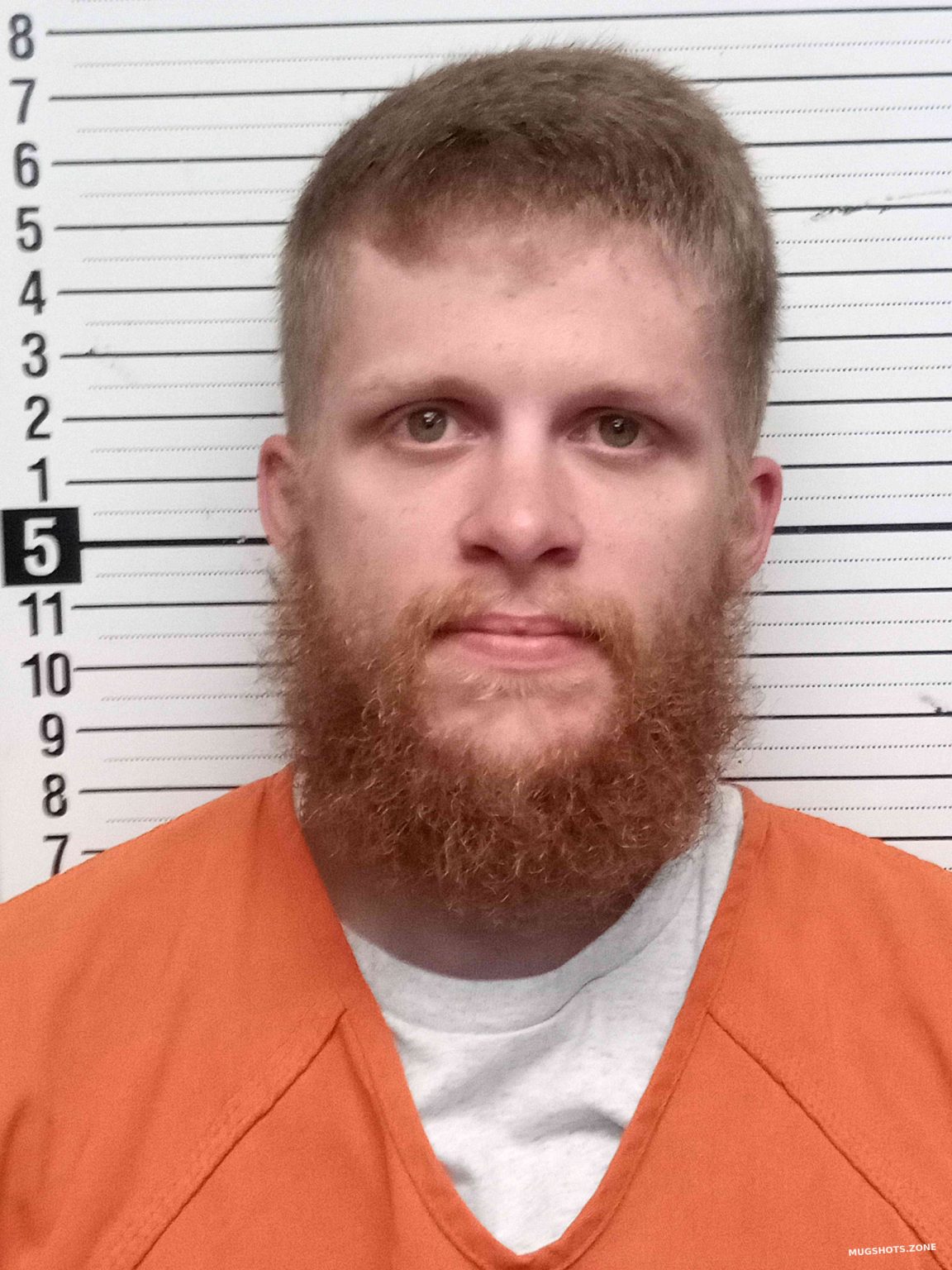 BOWEN BRUCE 06/17/2024 - Wayne County Mugshots Zone