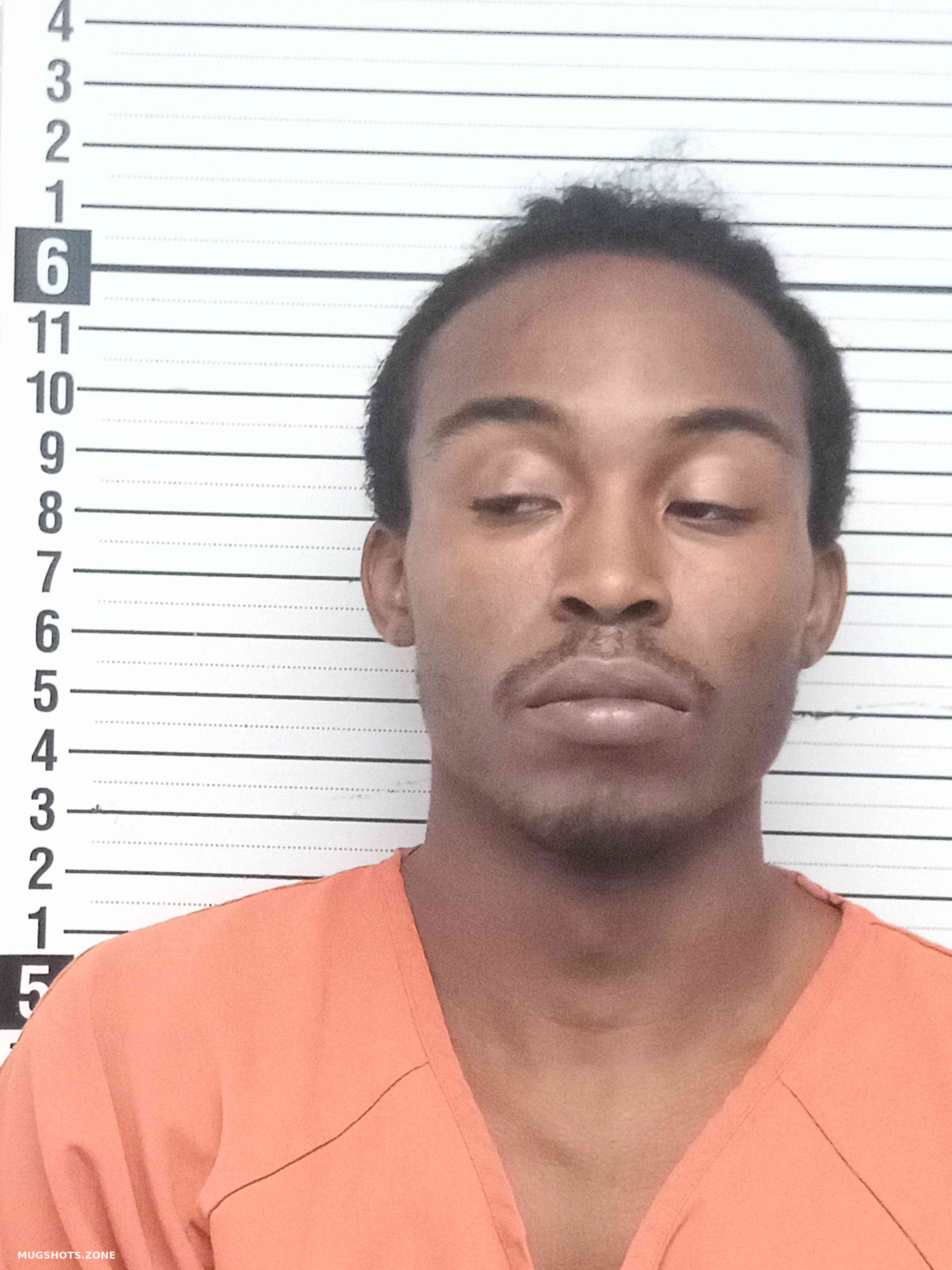 JACKSON CHASE 09/22/2024 - Wayne County Mugshots Zone