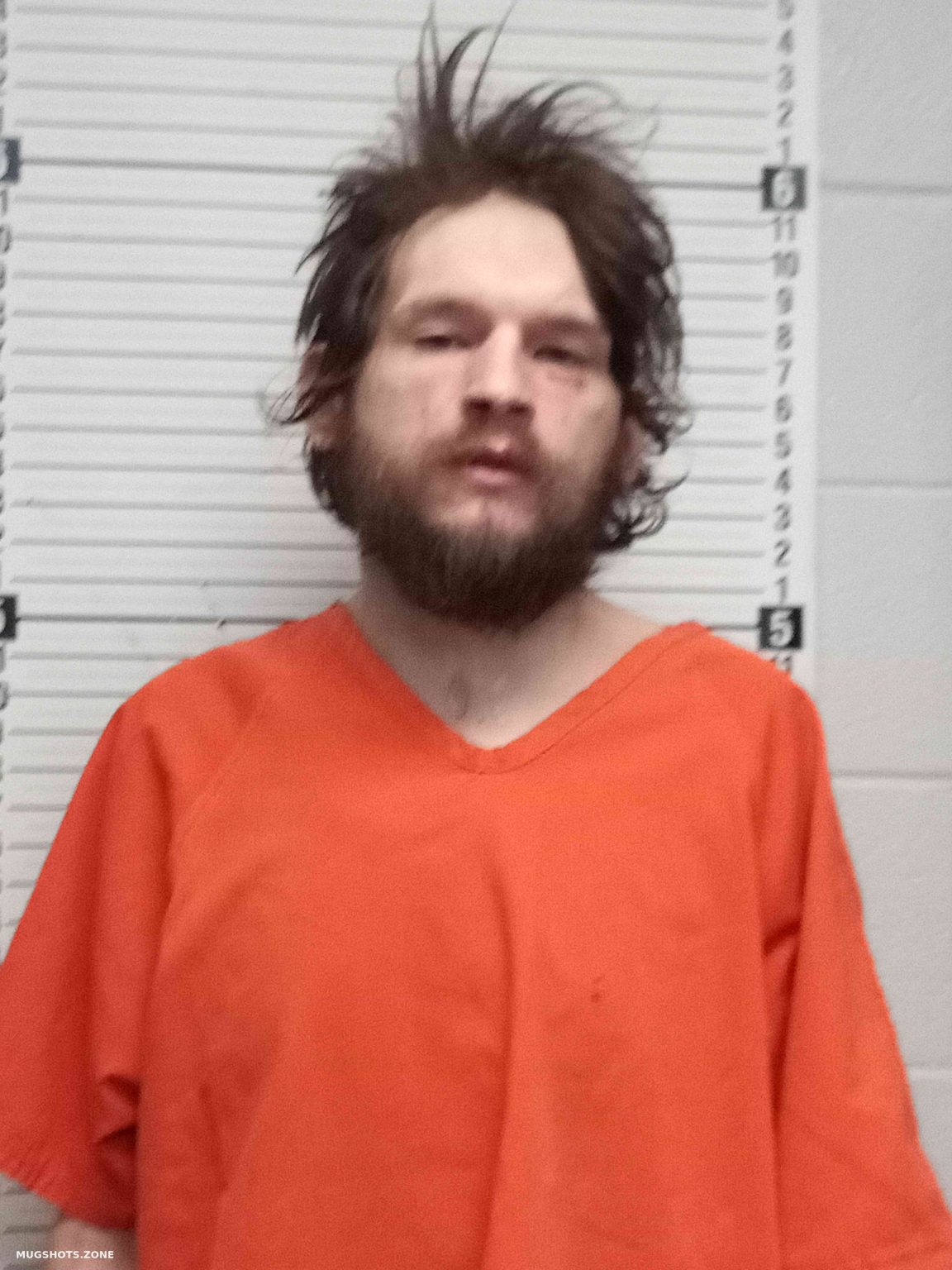 WRIGHT STACIE 10/16/2024 - Wayne County Mugshots Zone