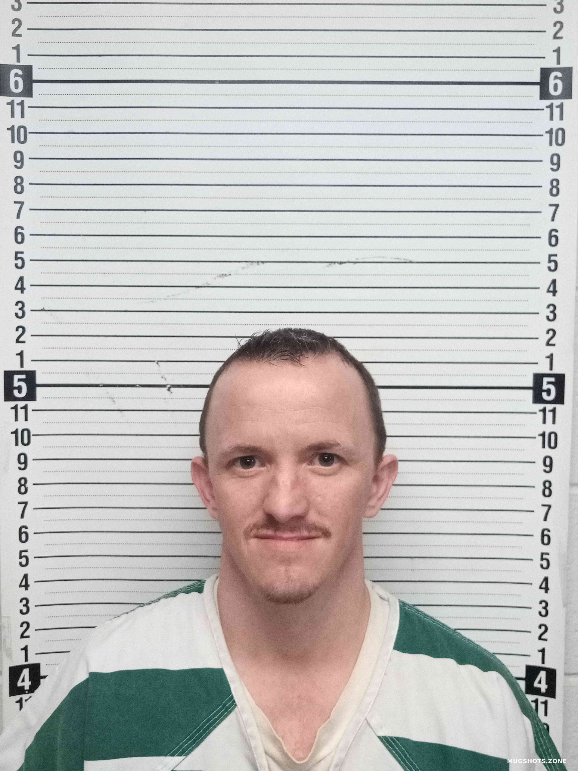 SUMNER MATTHEW 01/08/2025 - Wayne County Mugshots Zone
