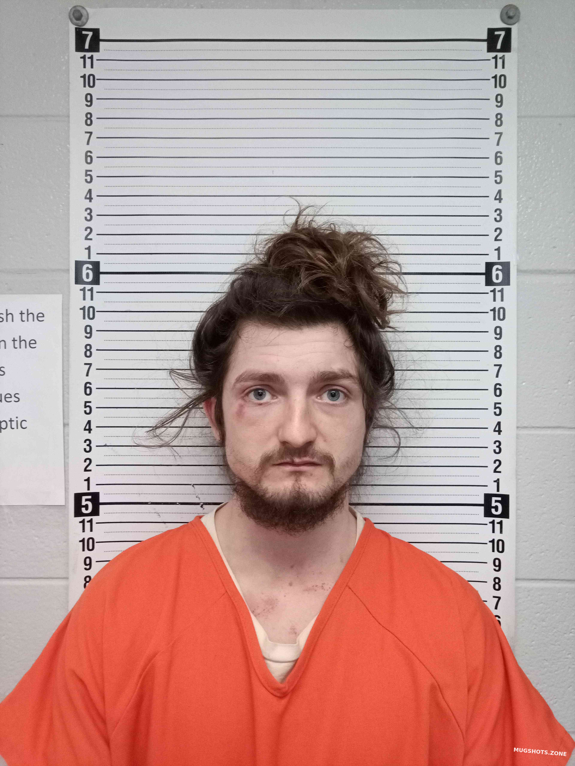 COLE DAVID 01/22/2025 - Wayne County Mugshots Zone