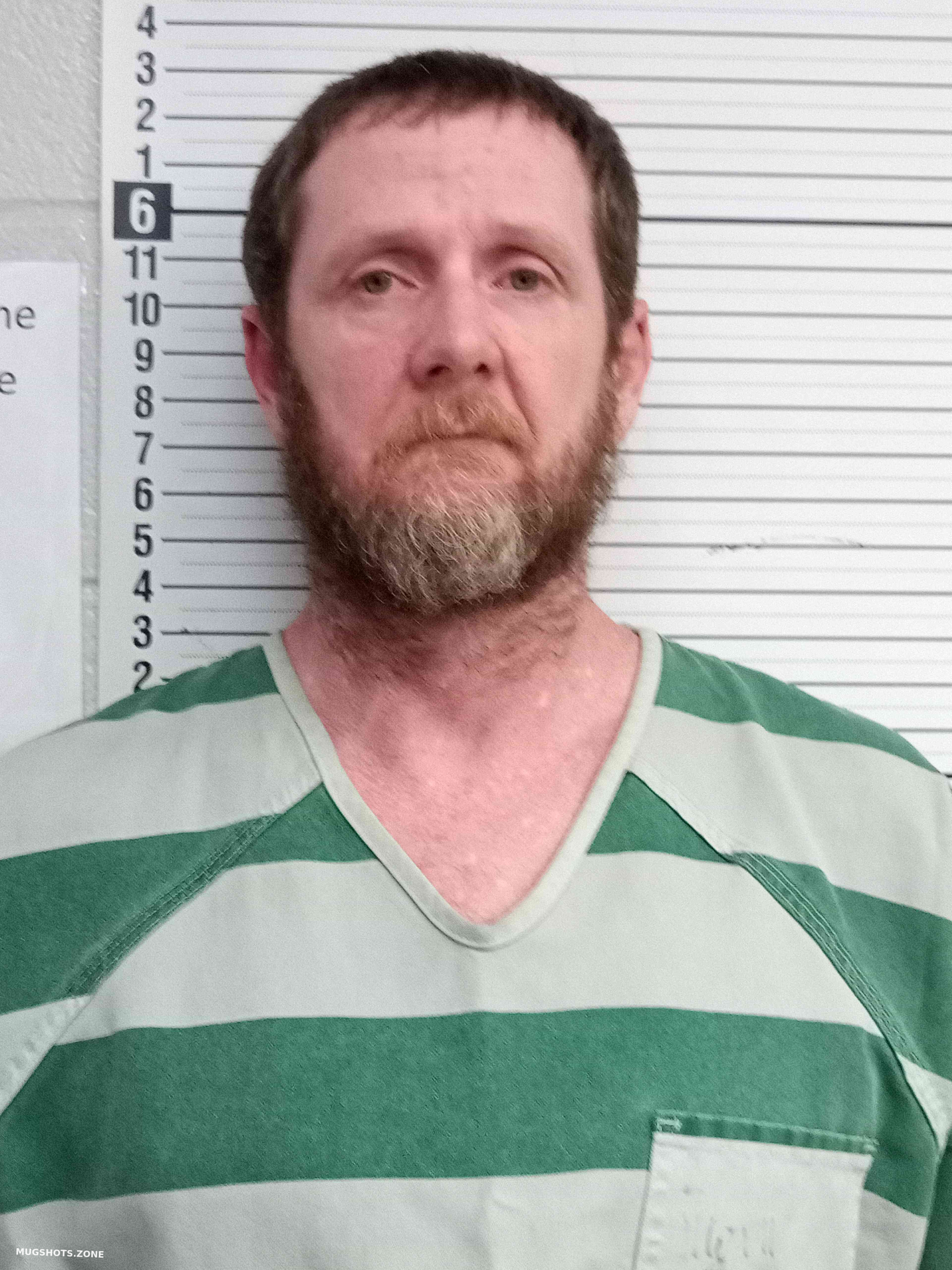 LEAR CHAD 01/24/2025 - Wayne County Mugshots Zone