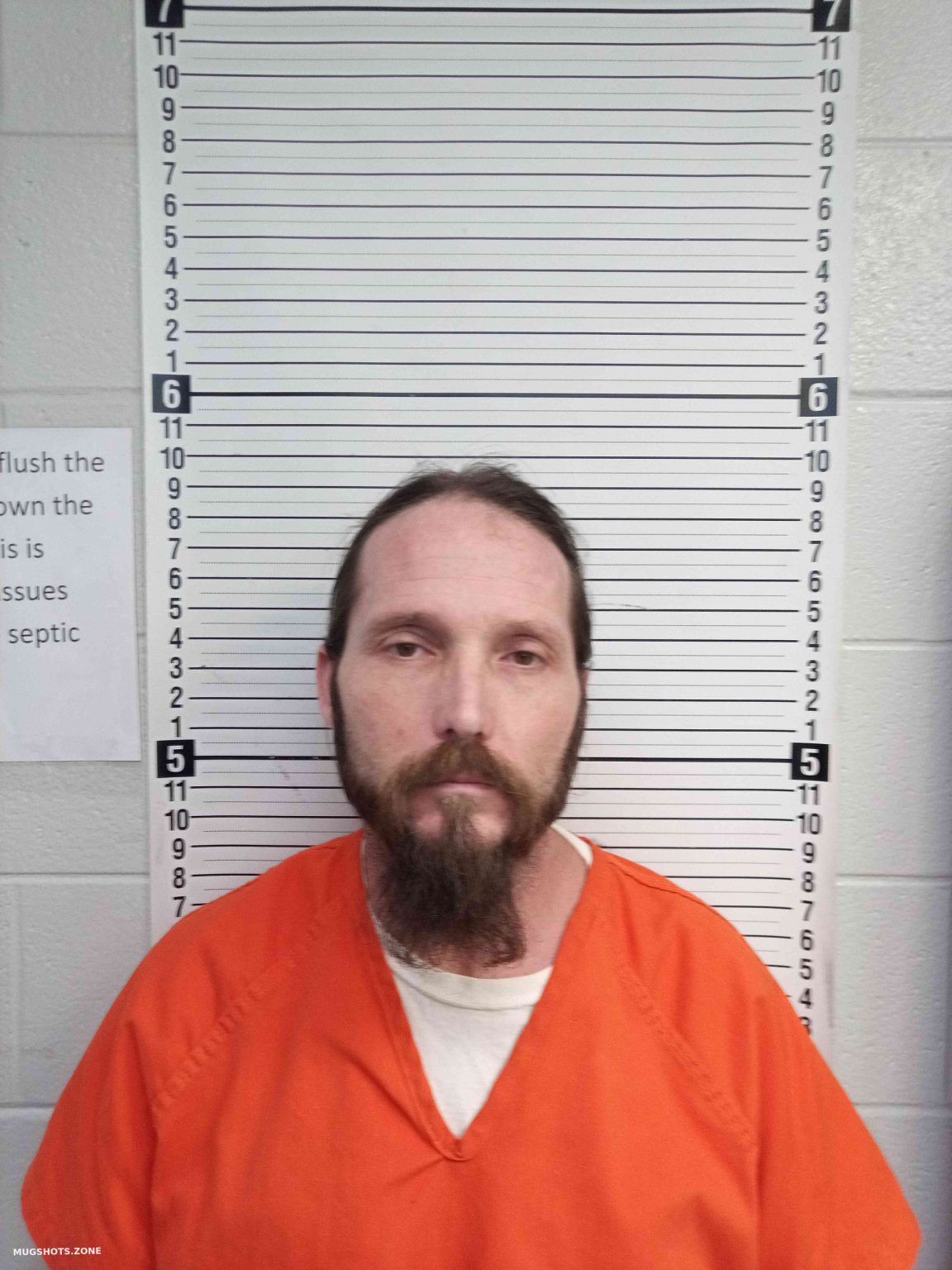 MCCOY THOMAS 01/24/2025 - Wayne County Mugshots Zone