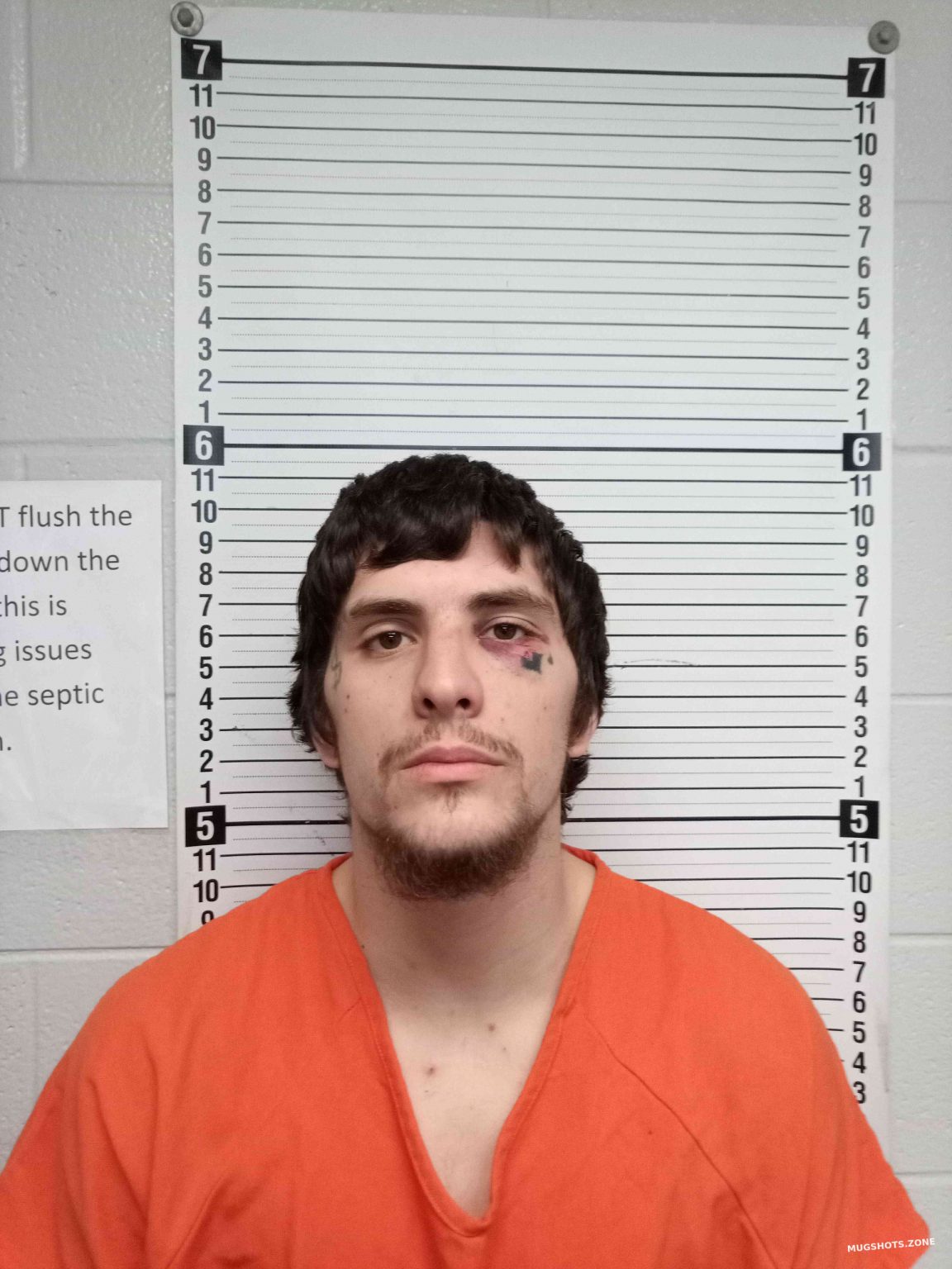 JETT DANIEL 01/24/2025 - Wayne County Mugshots Zone