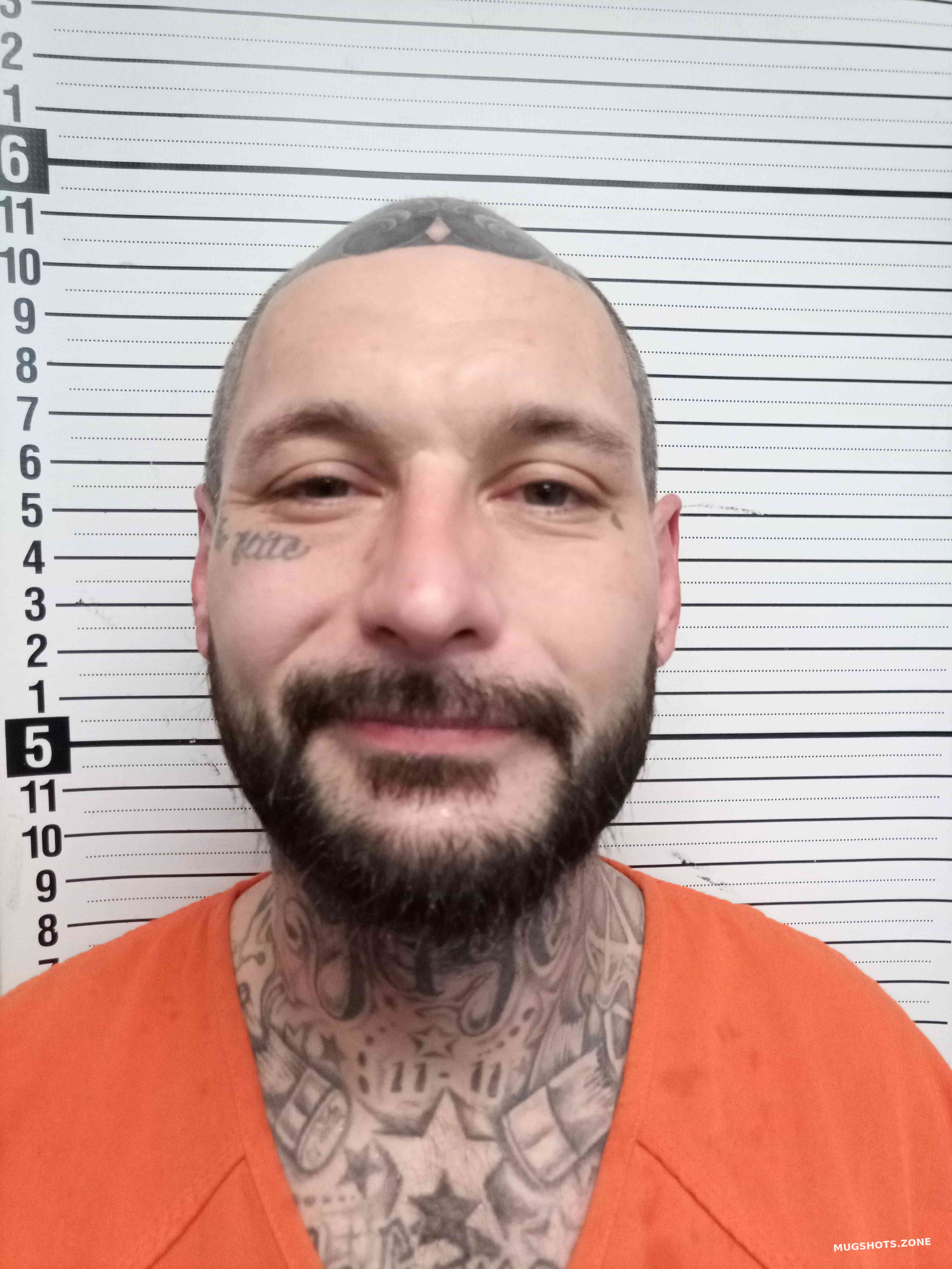STYLES JOSHUA 01/31/2025 - Wayne County Mugshots Zone