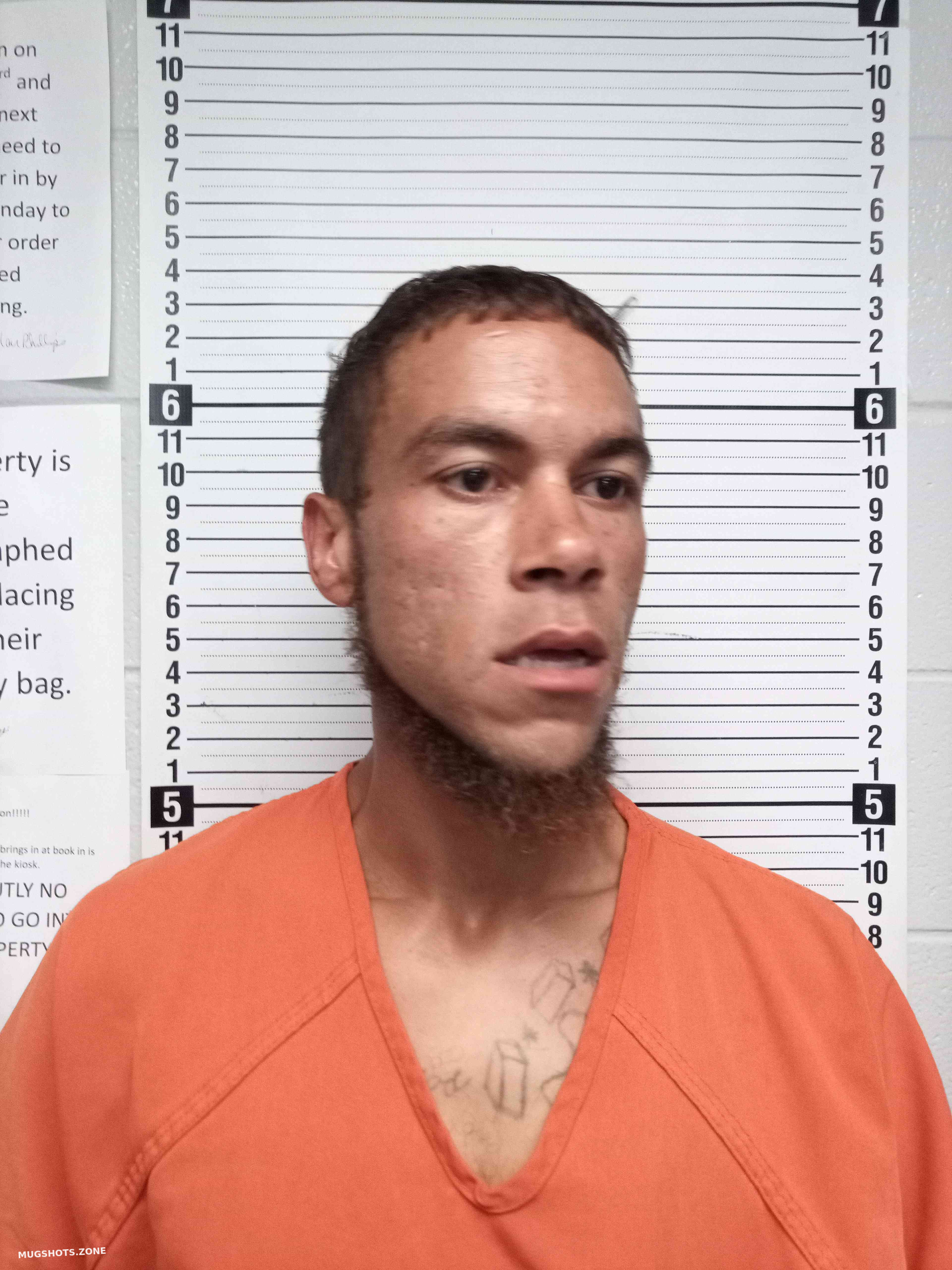 GREEN CHARLES 02/01/2025 - Wayne County Mugshots Zone