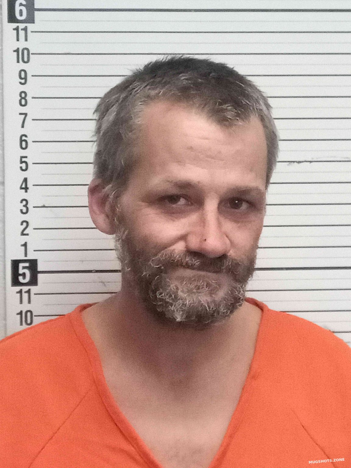 ROBERTS SHAWN 02/02/2025 - Wayne County Mugshots Zone