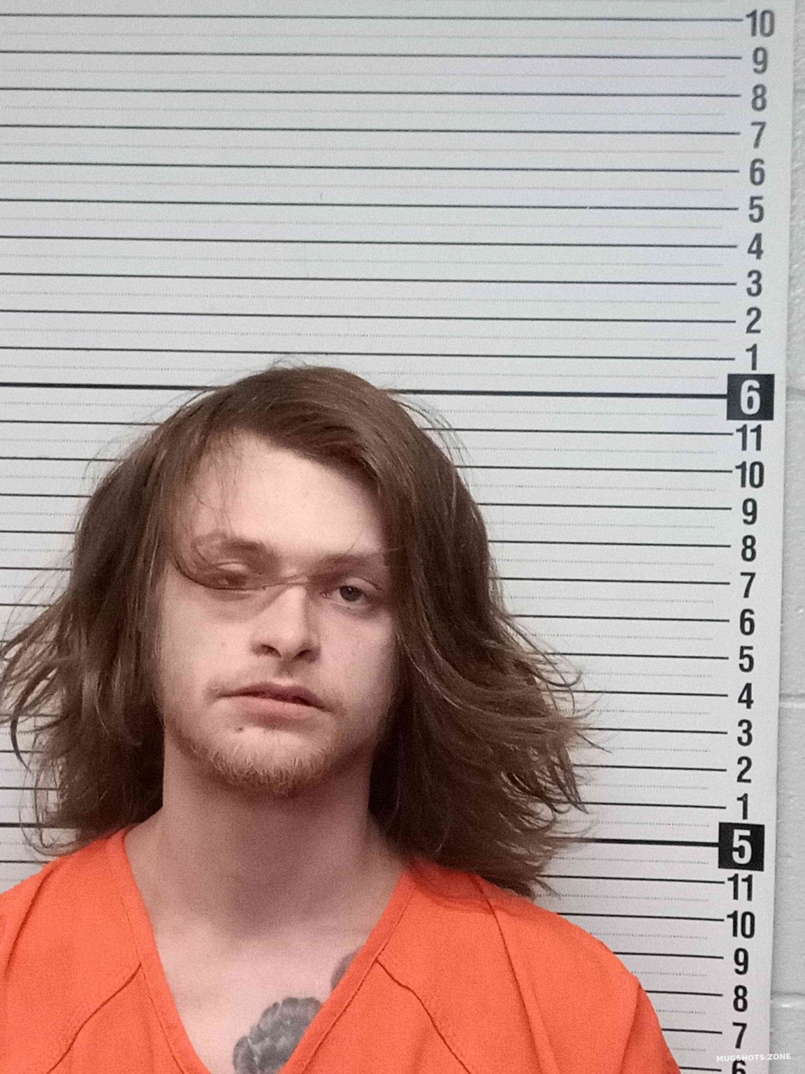 BOSTON AUSTIN 02/18/2025 - Wayne County Mugshots Zone