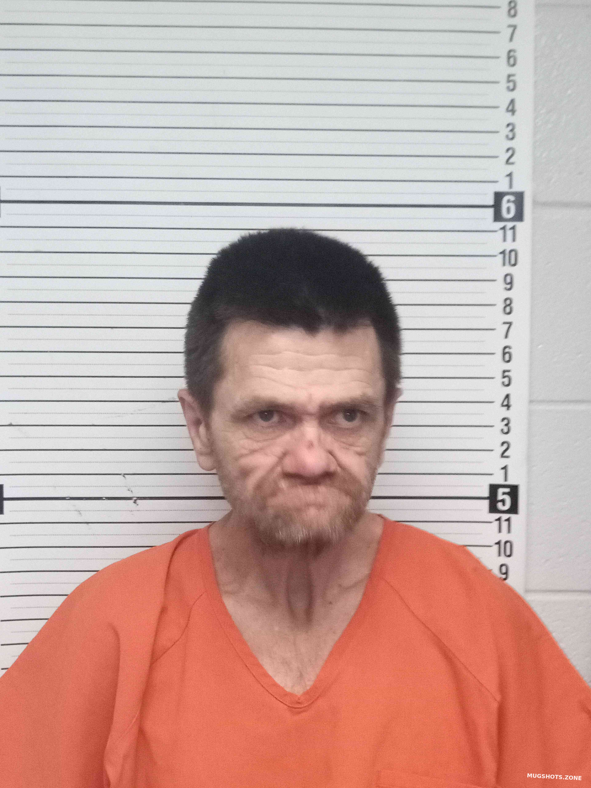 DAVIDSON STACY 02/26/2025 - Wayne County Mugshots Zone