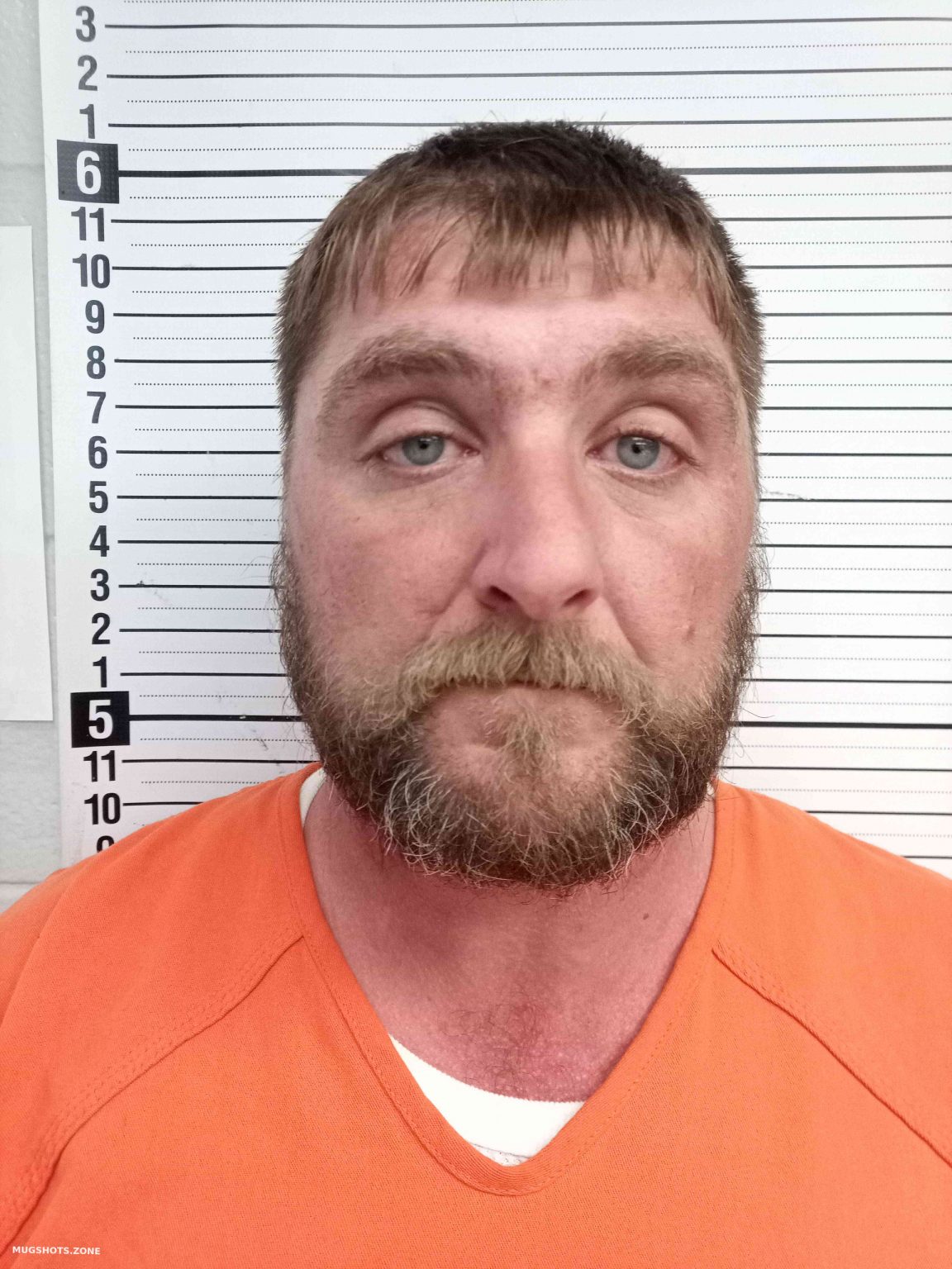 GEHRING DEREK 03/03/2025 - Wayne County Mugshots Zone