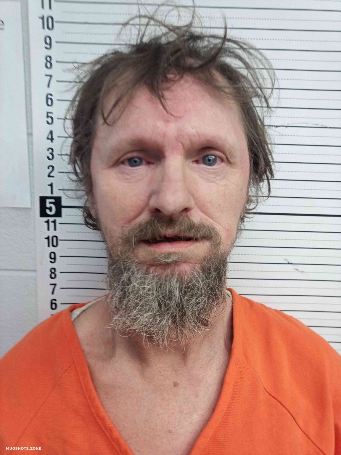 DANIELS DOUGLAS 03/03/2025 - Wayne County Mugshots Zone