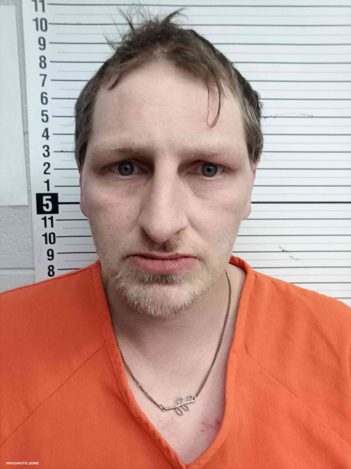 TURPIN MATTHEW 03/04/2025 - Wayne County Mugshots Zone