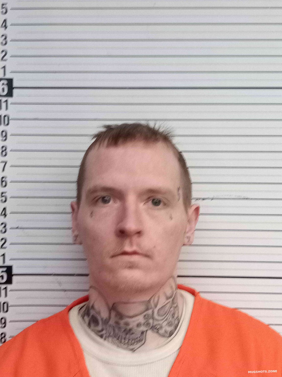 ALEXANDER THOMAS 04/15/2025 - Wayne County Mugshots Zone