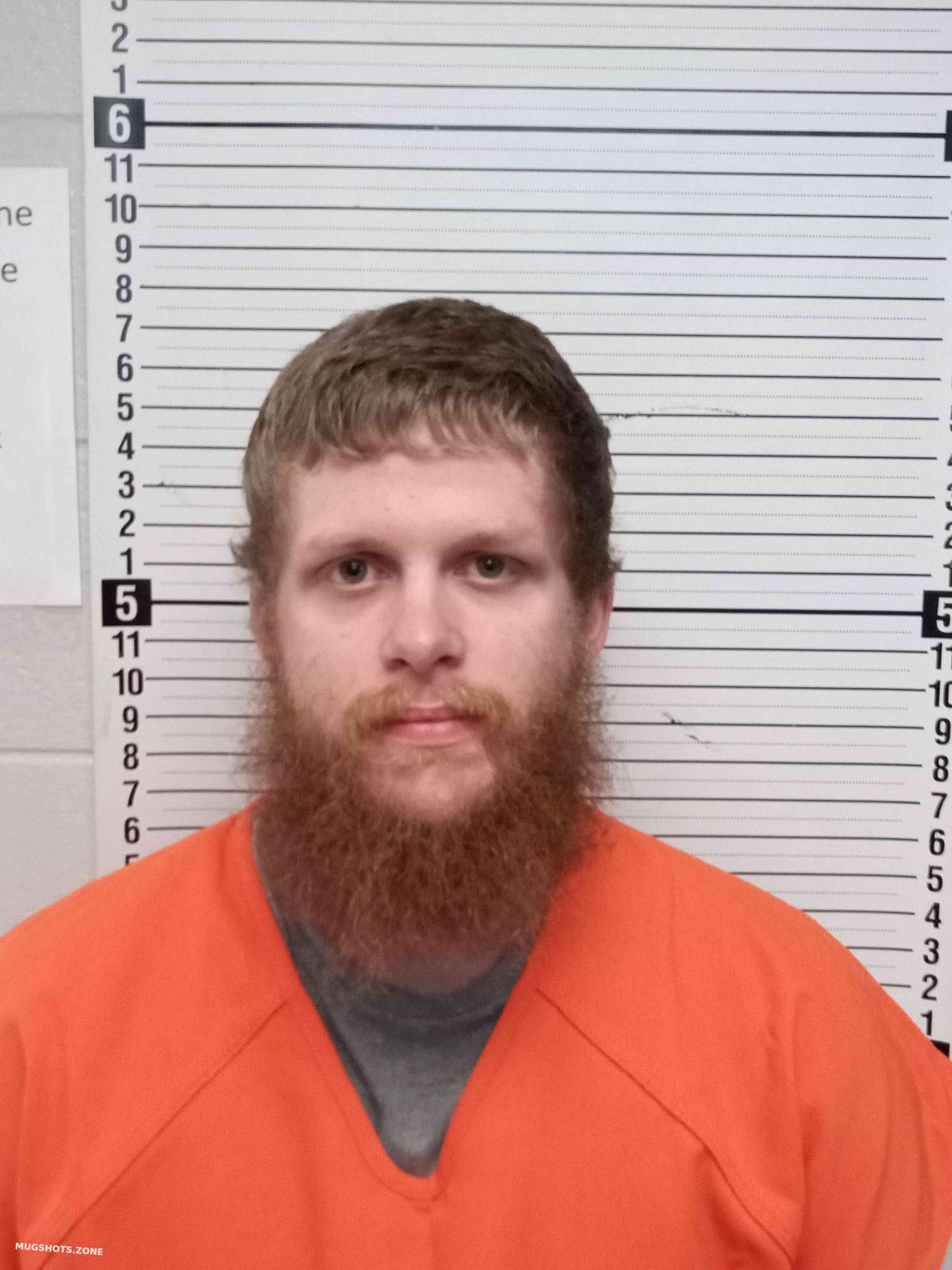 BOWEN BRUCE 04/22/2025 - Wayne County Mugshots Zone