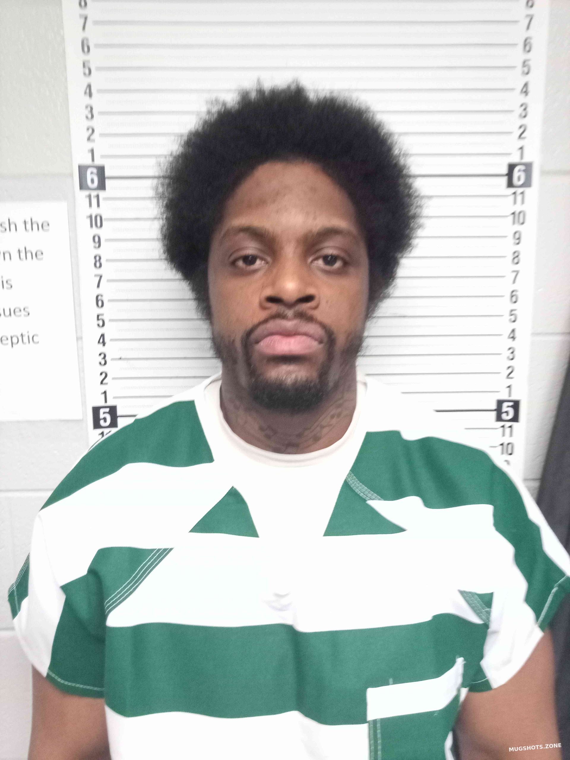 ROPER ANGELO 04/24/2025 - Wayne County Mugshots Zone