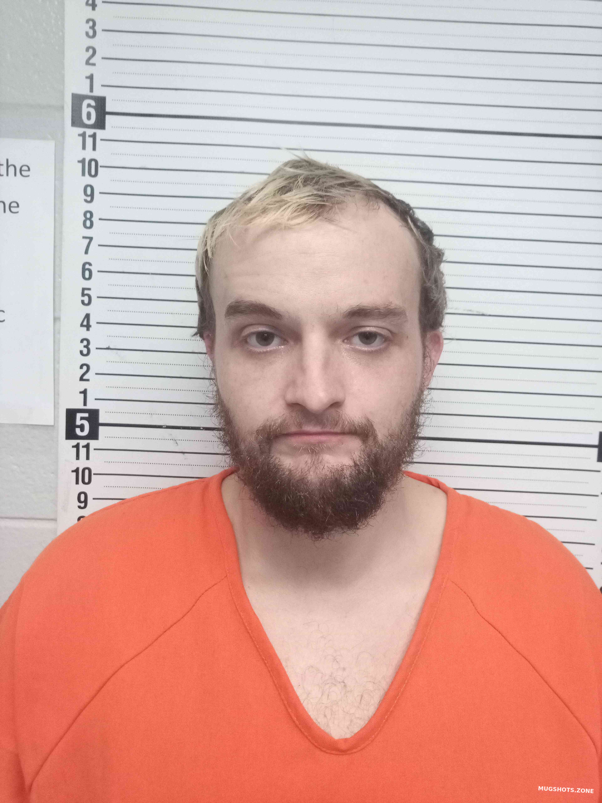 LEE ANTHONY 05/02/2025 - Wayne County Mugshots Zone