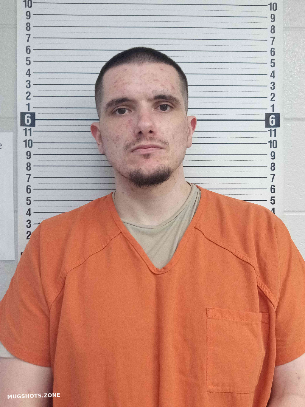 BROWNING MICHAEL 05/15/2025 - Wayne County Mugshots Zone