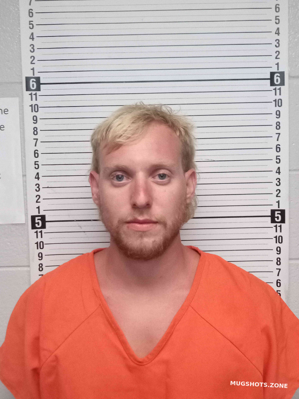 JOHNSON MICHAEL 05/17/2025 - Wayne County Mugshots Zone