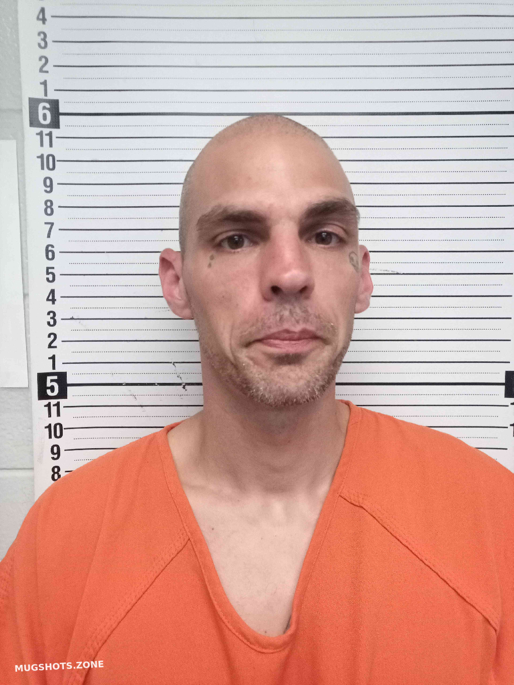 EDWARDS BRANDON 06/01/2025 - Wayne County Mugshots Zone