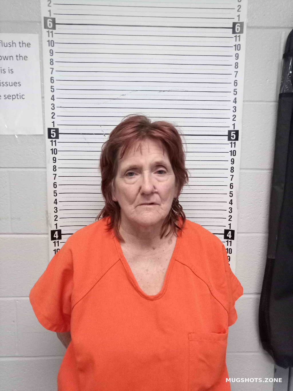 PRINCE LISA 06/07/2025 - Wayne County Mugshots Zone