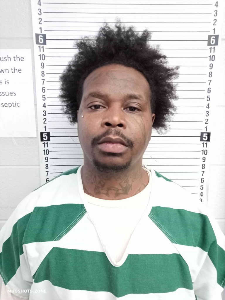 REESE ANTAWAN 06/20/2025 - Wayne County Mugshots Zone