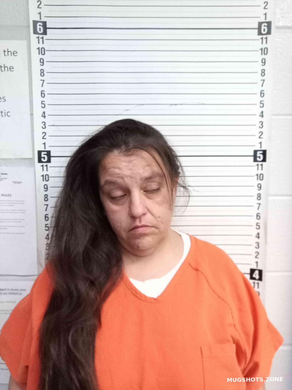 SANDERS ALISA 08/25/2025 - Wayne County Mugshots Zone