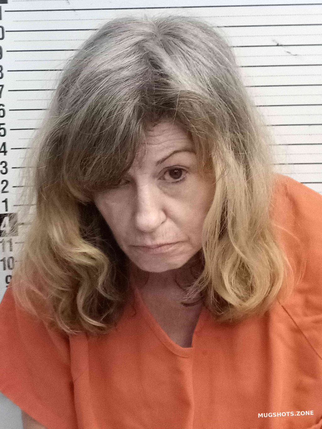 BAKER DEBBIE 10/13/2025 - Wayne County Mugshots Zone