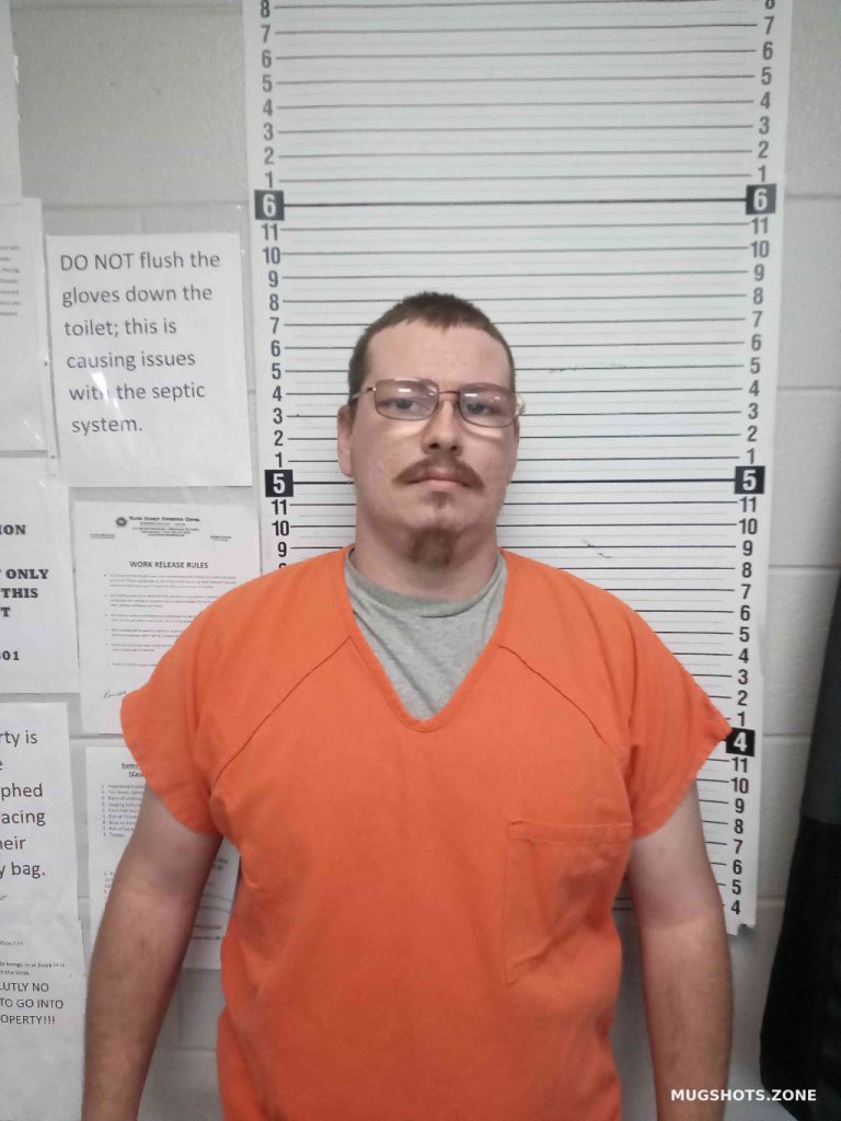 HALL NATHANIEL 11/24/2025 - Wayne County Mugshots Zone