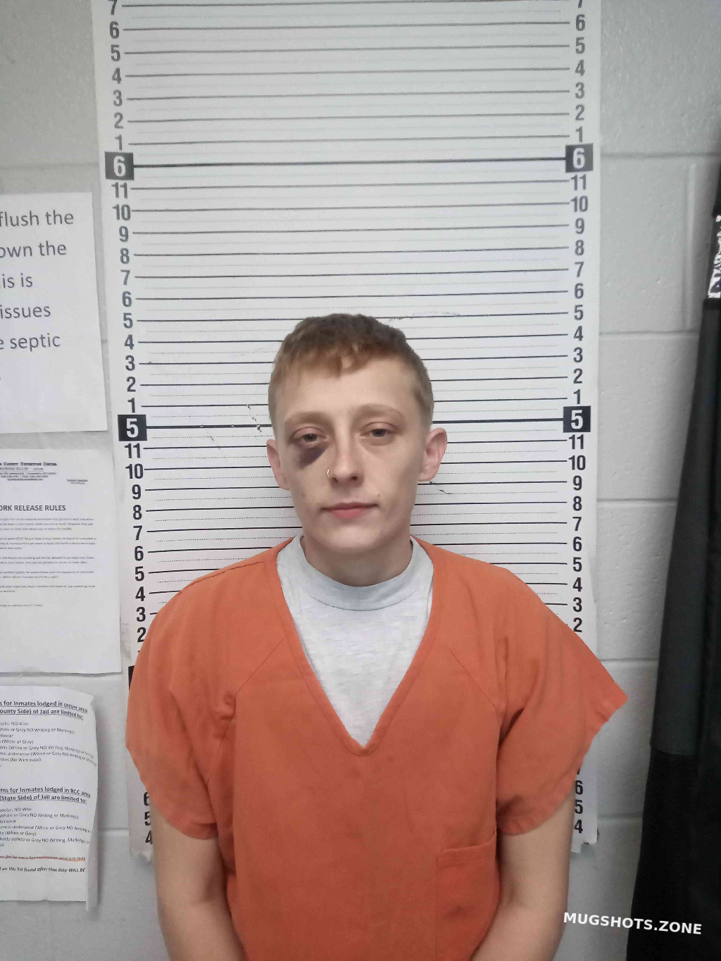 MILLER SARAH 11/24/2025 - Wayne County Mugshots Zone