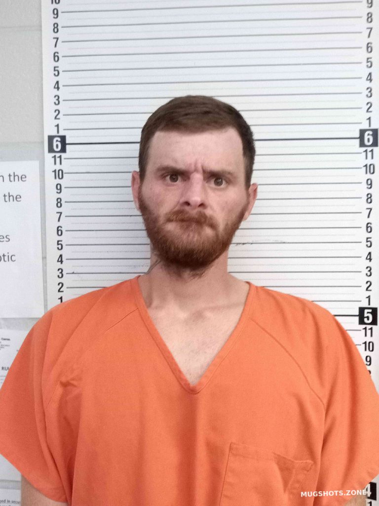 MORGAN JACOB 12/06/2025 - Wayne County Mugshots Zone