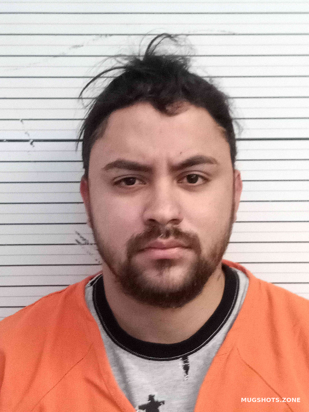 SUAREZ TORRES ANGEL 12/15/2025 - Wayne County Mugshots Zone