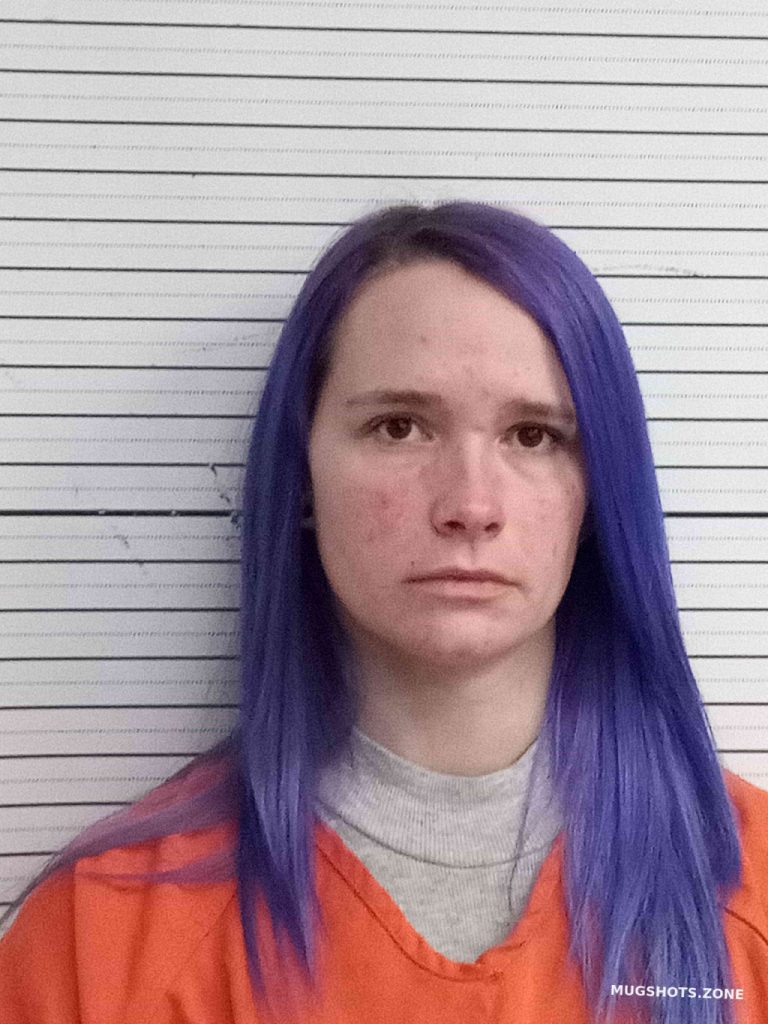 LEE WHITNEY 12/15/2025 - Wayne County Mugshots Zone