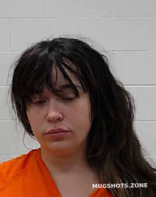 DIANN MARIE HICKS 01/25/2024 - Wayne County Mugshots Zone