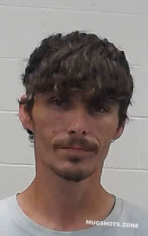 MICHAEL ERIN STEELE 06/01/2024 - Wayne County Mugshots Zone